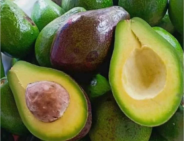 Beragam Manfaat Buah Alpukat, Cocok Dikonsumsi untuk Kesehatan Tubuh ...